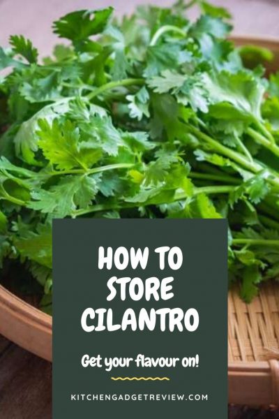 How to Store Cilantro to Keep it Fresher for Longer