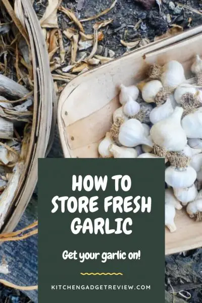 How to Store Garlic: Everything you Need to Know about Garlic Storage